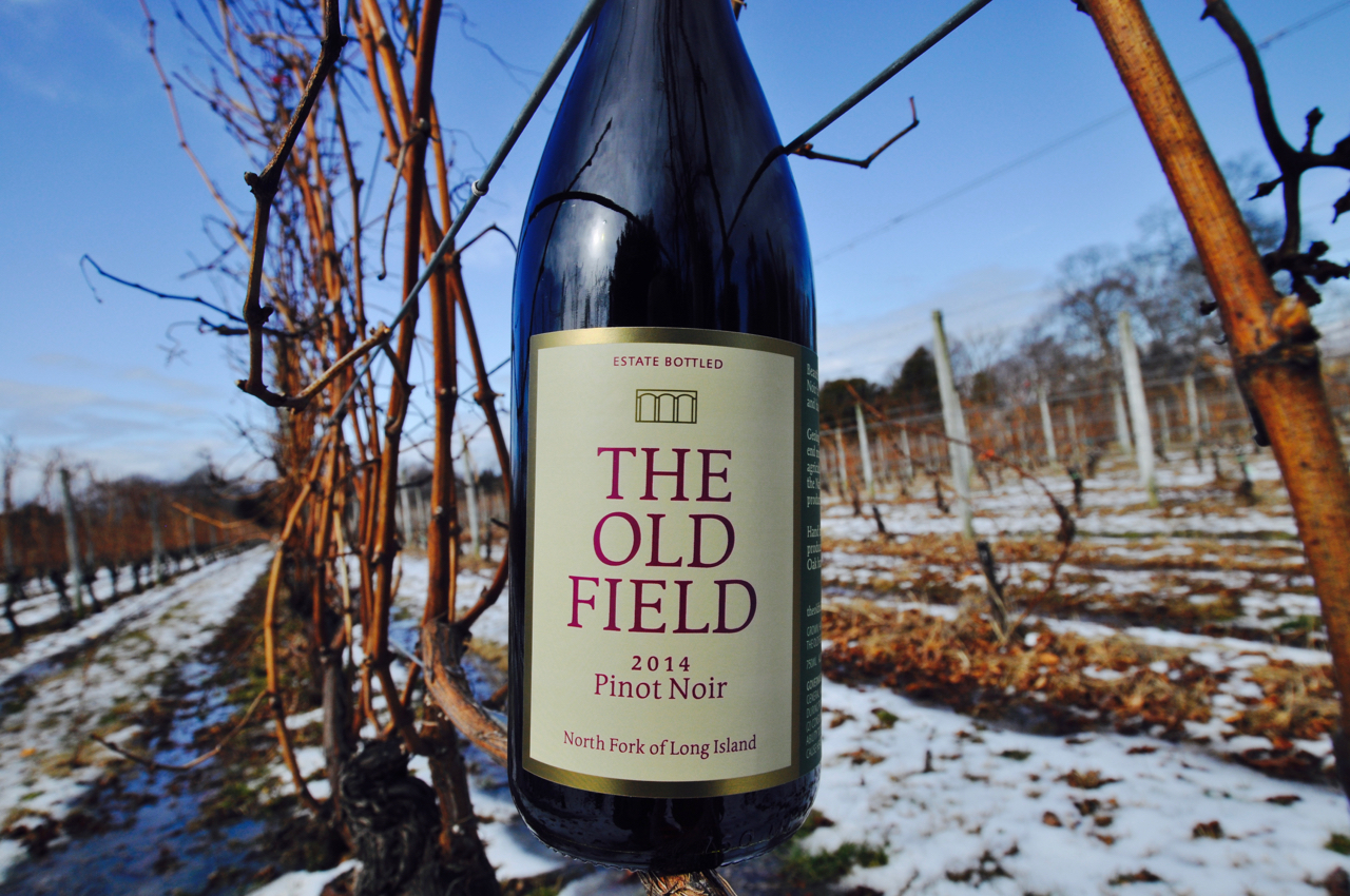 DSC_0299 – The Old Field Vineyards